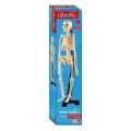 Australian Geographic Miniature Model Skeleton | Woolworths