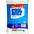 Essentials Pool Salt 10kg | Woolworths