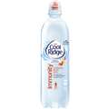 Cool Ridge Vitamin Spring Water Bottle Immunity 450ml | Woolworths