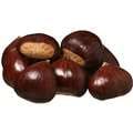 Chestnut 500g | Woolworths